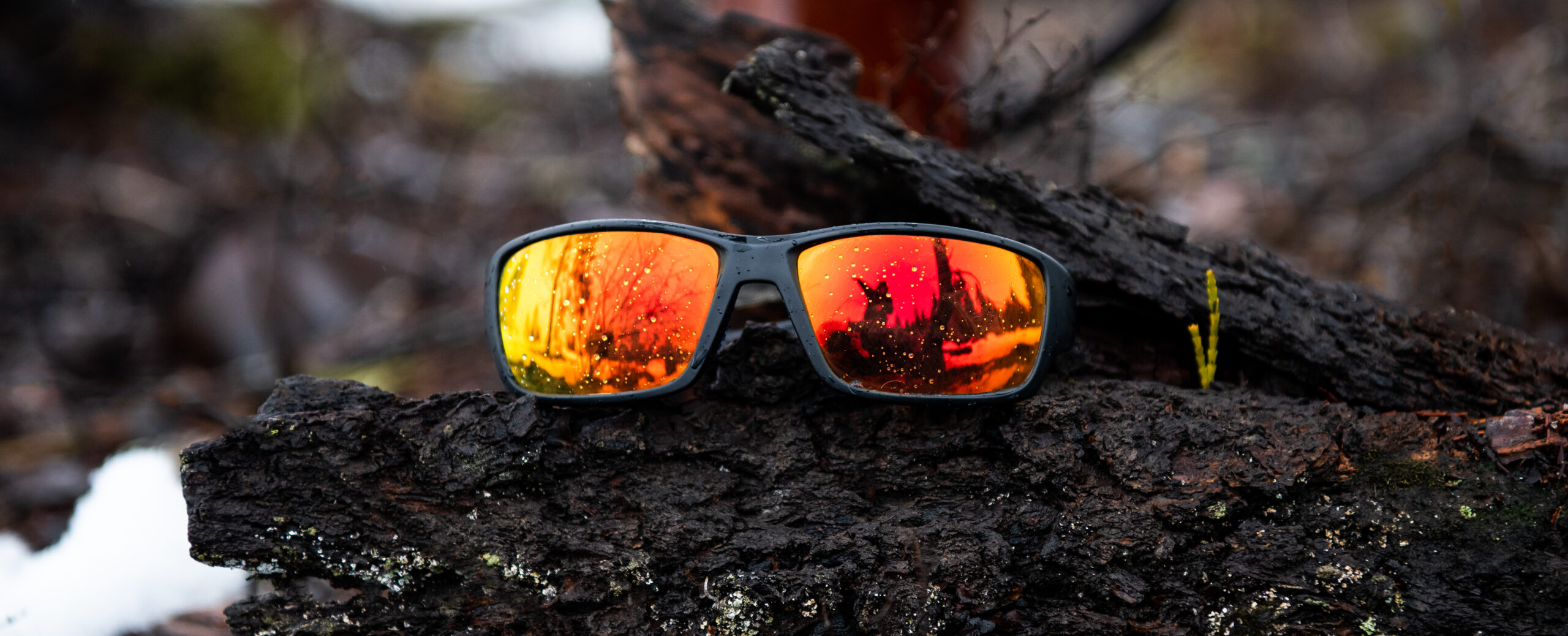 Polarized Performance Eyewear for Fishing & Outdoors - RLVNT
